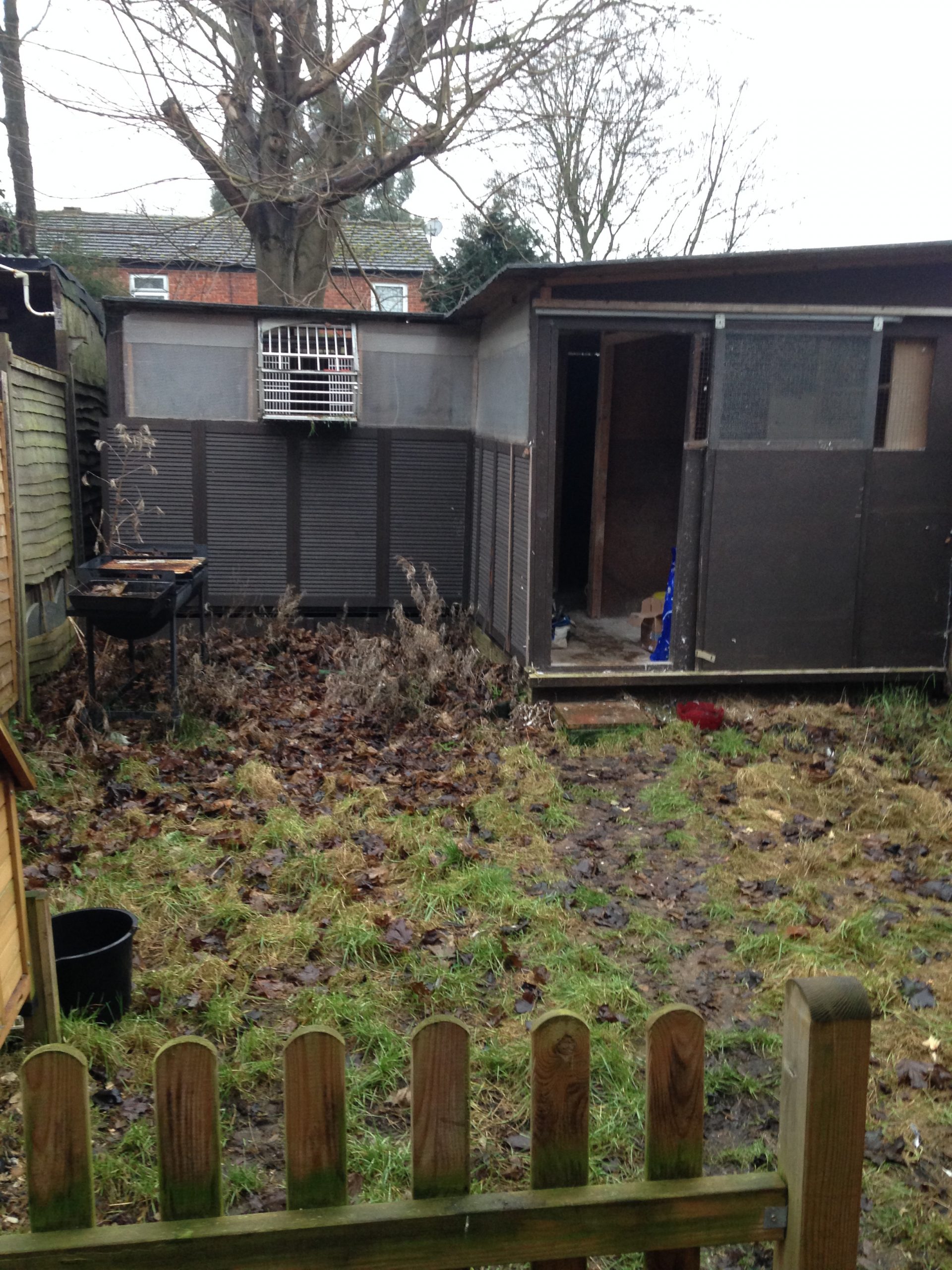 Chris Roscoe – Loft Report | Uk Pigeon Racing